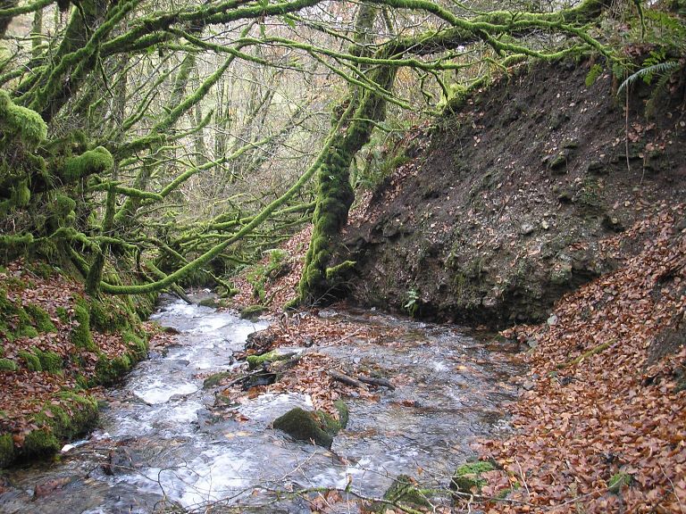 Iron smelting bloomery at Sherracombe Ford - Exmoor's Past - the online ...